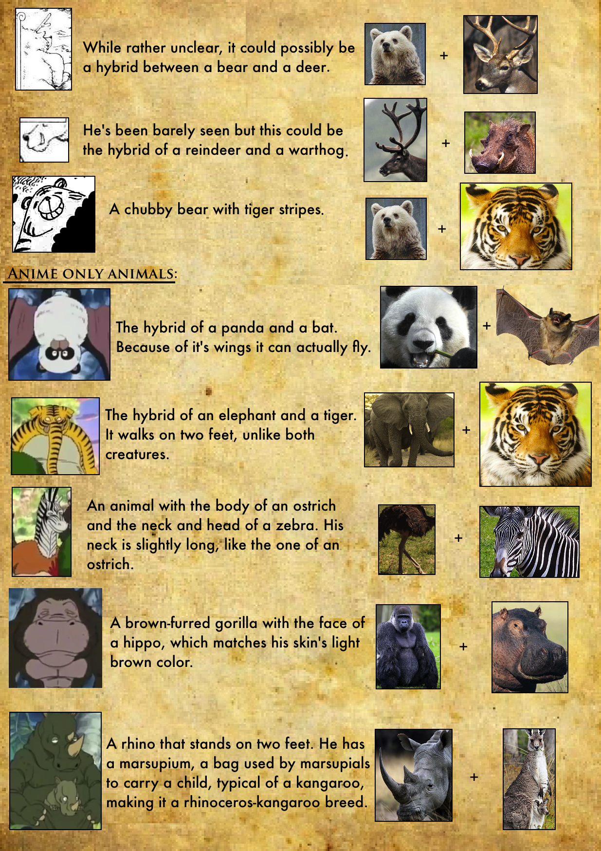 Rare Animal Island 2 – The Library of Ohara