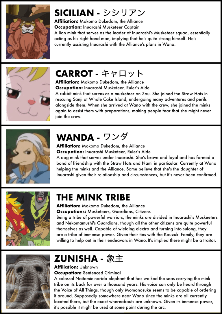 A Complete Guide to Every Character in the Wano Arc! – The Library of Ohara