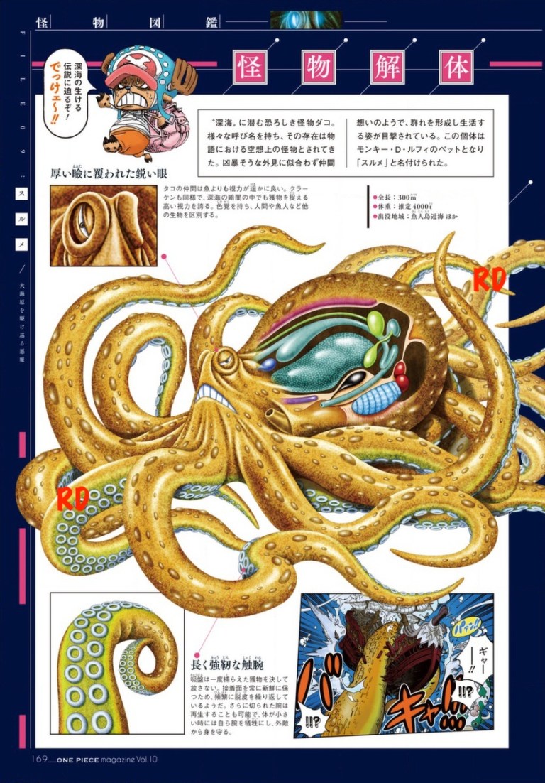 One Piece Magazine Vol 10 (new information!) – The Library of Ohara