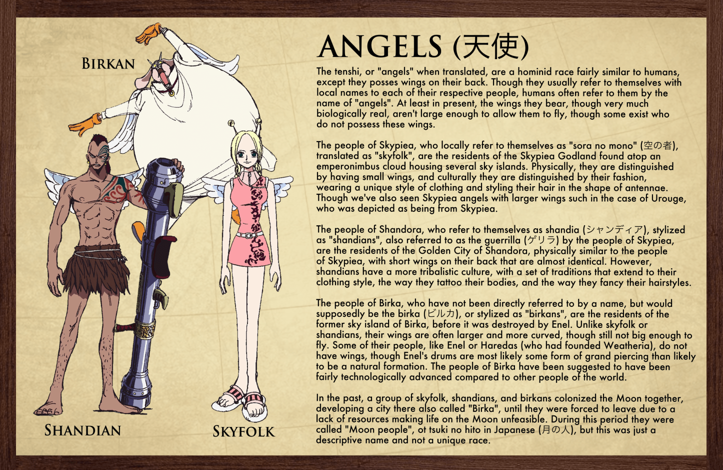 One Piece Race Encyclopedia – The Library of Ohara