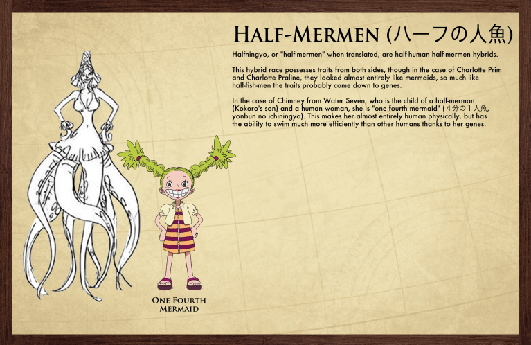 One Piece Race Encyclopedia – The Library of Ohara