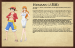 One Piece Race Encyclopedia – The Library of Ohara