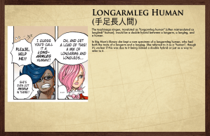 One Piece Race Encyclopedia – The Library of Ohara