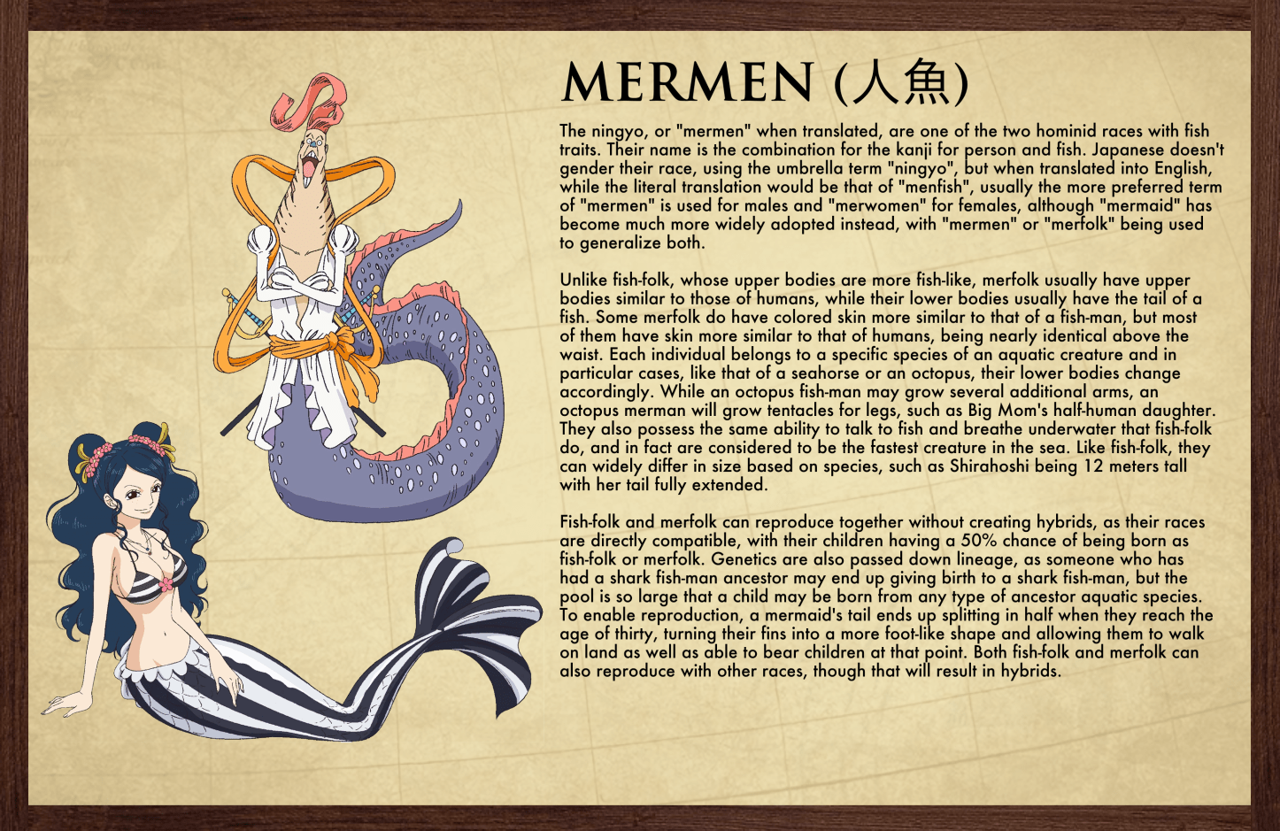 One Piece Race Encyclopedia – The Library of Ohara